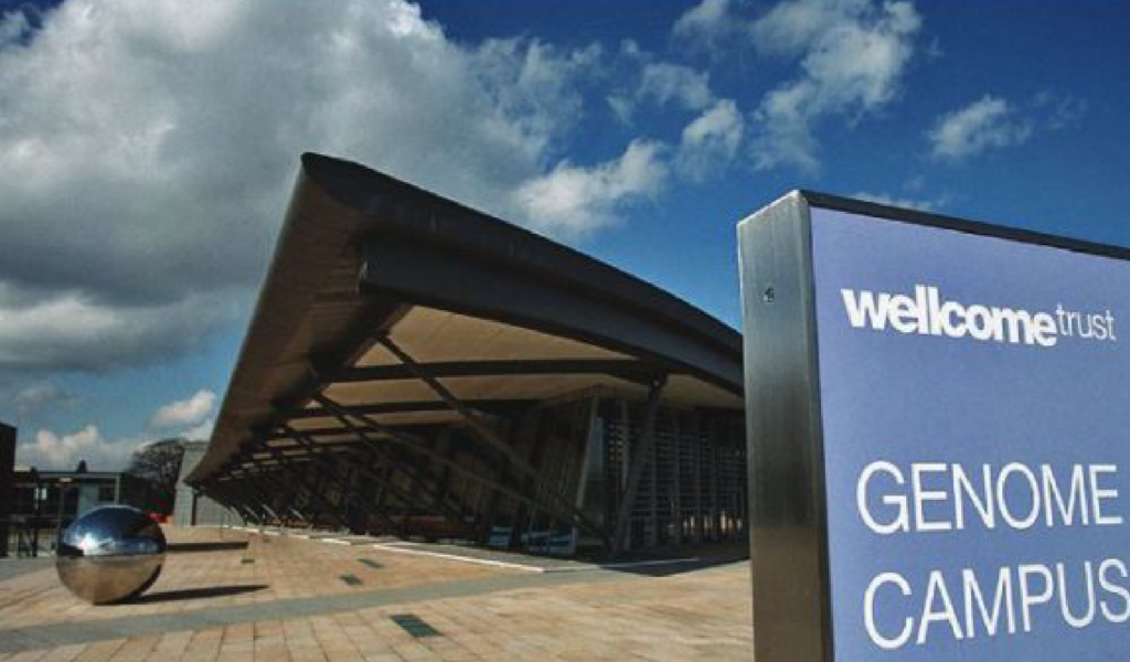 DRUPS – Acoustic Containers - Mansfield Pollard